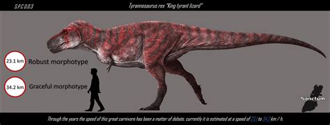 Accurate T Rex Red Montagem De Fotos Molduras Animais Pré Históricos Pré História