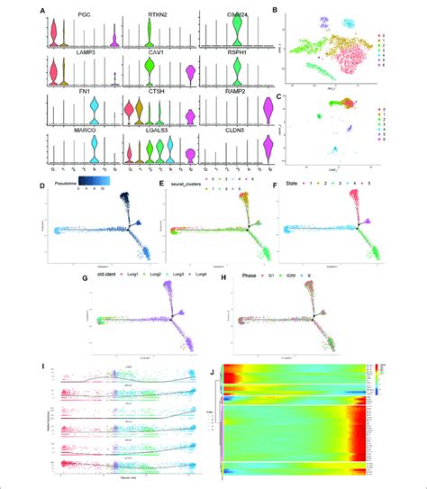 Subpopulations Of Epithelial Cells And Reconstructing The
