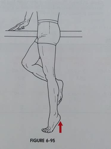 Foot And Ankle MMT Flashcards Quizlet