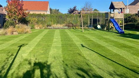 Yew Pruning Guide Tips For Shaping Yew Hedges Moowy