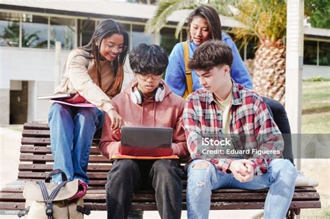 대학 캠퍼스에서 함께 일하는 대학생 친구들 아시아계 미국인 청소년 학생에 대한 스톡 사진 및 기타 이미지 학생 일함 단체 Istock