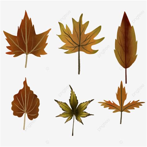 수채화 단풍 요소 가을 이파리 잎 Png 일러스트 및 Psd 이미지 무료 다운로드 Pngtree