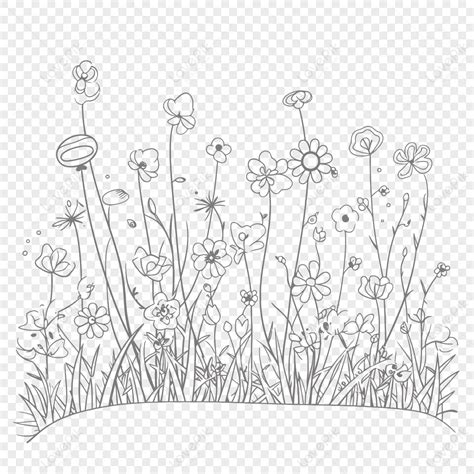 개요 스케치 드로잉에 페이지 정원 색칠 페이지에 간단한 낙서 벡터꽃밭 개요두꺼운 선 Png 일러스트 무료 다운로드 Lovepik