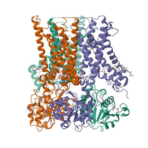 Rcsb Pdb 7tai Structure Of Steap2 In Complex With Ligands