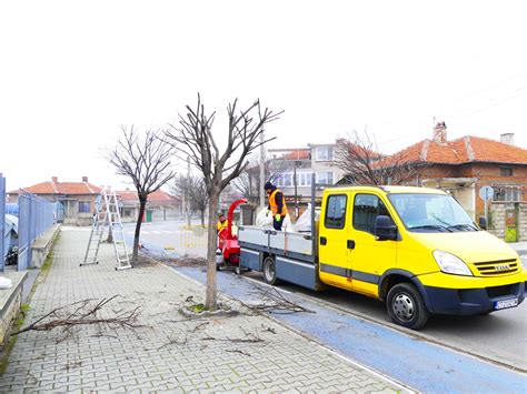 Започна санитарна резитба на дървета Община Нова Загора