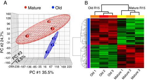 Heat Map Analysis Of Microarray Data Showing Differentially Expressed