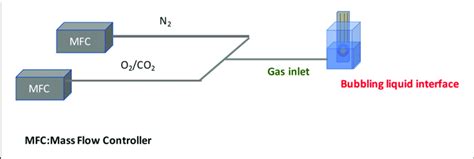 Schematic Overview Of The Sampling Protocol Download Scientific