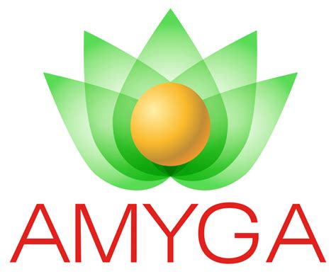 AMYGA