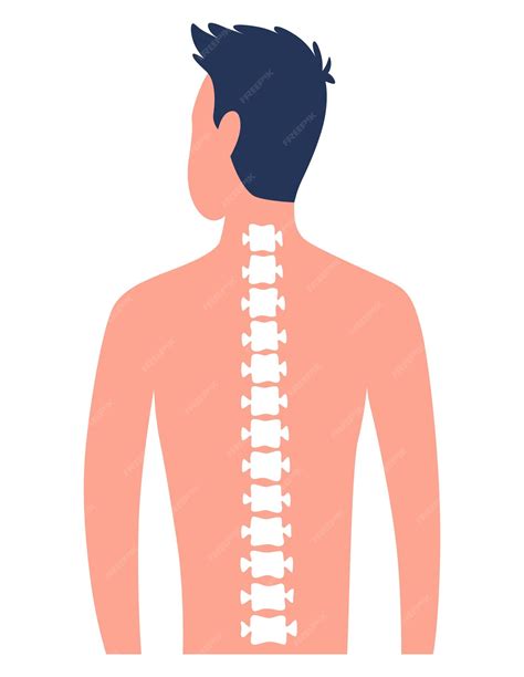 Flat Back Spine