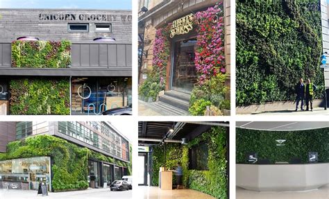 Ask The Expert How Do We Standardise The Science Of Sustainability Insider Media