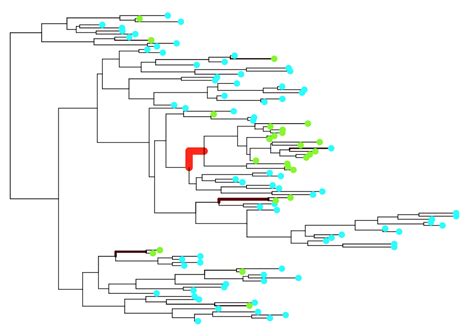 GitHub Ansariazim TreeBreaker Algorithm To Divide A Phylogenetic Tree Into Segments Based On