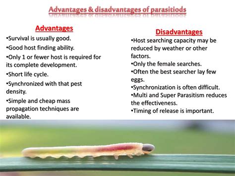Parasitoids And Predators Their Attributes Pptx