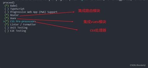 Vue 自定义创建项目六vue创建项目自定义选择 Csdn博客