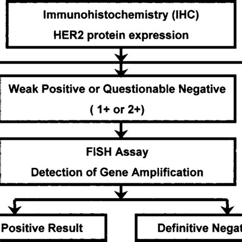 Algorithm Showing Proposed Method For Evaluating For Her2 Status In