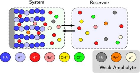 电荷调节如何影响弱聚电解质刷中 Ph 响应性两性电解质的摄取 Macromolecules X Mol