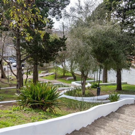 Они связали муниципальную полицию с судебным процессом после