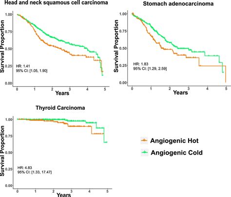 Angiogenic Hot And Cold Tumors Impact 5 Year Survival Curves In Head
