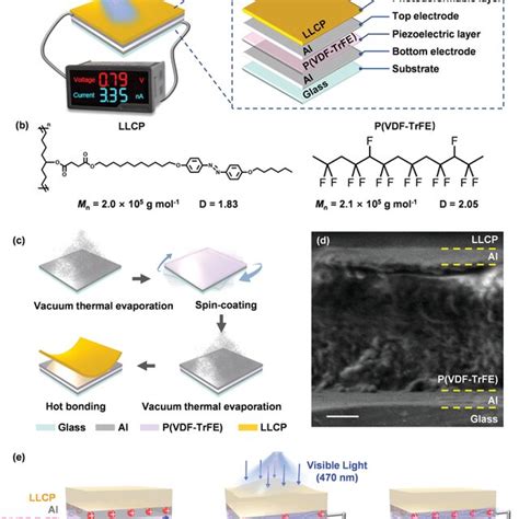 A Schematic Illustration To Show The Multi‐layer Structure Of The Download Scientific Diagram