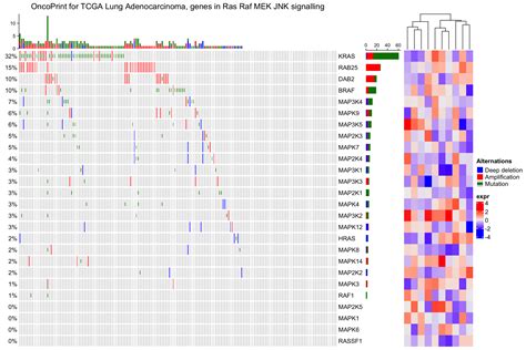 Complexheatmap 绘制肿瘤突变分布图 走看看