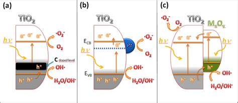 Scheme Of Tio2 Band Structures A Chemical Ion Doping B Metal Download Scientific Diagram Scheme Of Tio2 Band Structures A Chemical Ion Doping B Metal Download Scientific Diagram