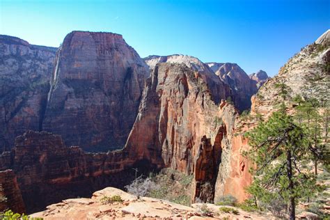 Attractions In Zion National Park 60 Photos