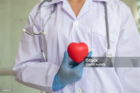 의료 및 의료 개념 심장을 가진 여성 의사 클로즈업 병원에서 완벽한 의료 서비스 의학 및 건강 관리 개념 의료 기술 및 의학 웃는 여의사 심장에 대한 스톡 사진 및 기타