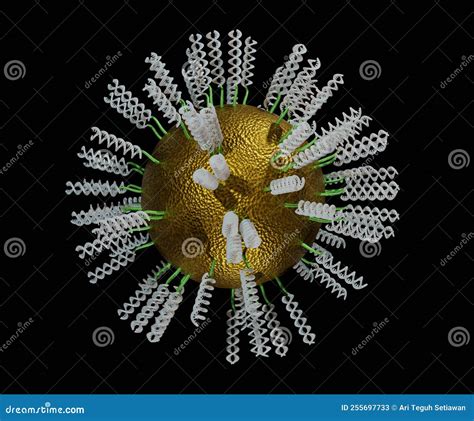 Gold Nanoparticle With Dna Strand Conjugated As Genetic Carrier Stock Illustration