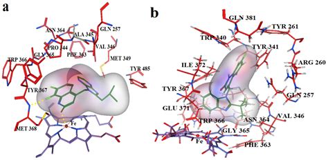Molecular Docking Simulation Molecular Docking Simulations