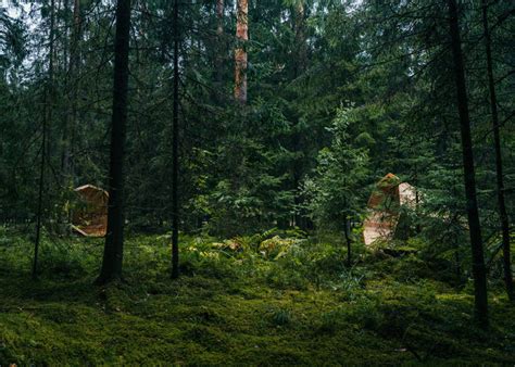 Giant Timber Megaphones Amplify Sounds Of Estonian Forest