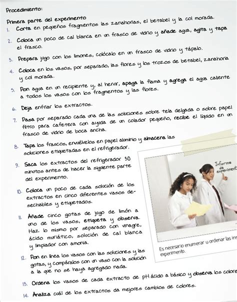Virgen Violín Mayor Pasos Para Hacer Un Informe Cientifico Pantano