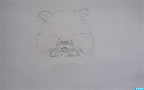 Мастер класс по рисованию цветными карандашами «Рыжая красавица 11 фото Воспитателям детских