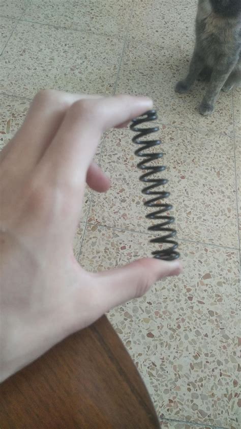 Found This Spring Lying Around Measured Its Spring Constant And Its