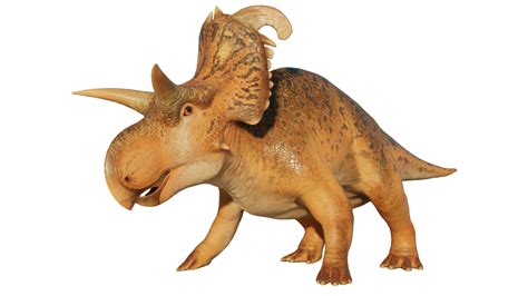 Lokiceratops By Draco Awesomeness On Deviantart