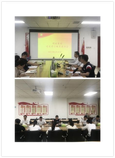 明旅集团党委召开党史学习教育座谈会 江西明月山旅游集团