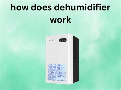 How Does A Dehumidifier Work Complete Guide To Understanding Your Homes Moisture Manager