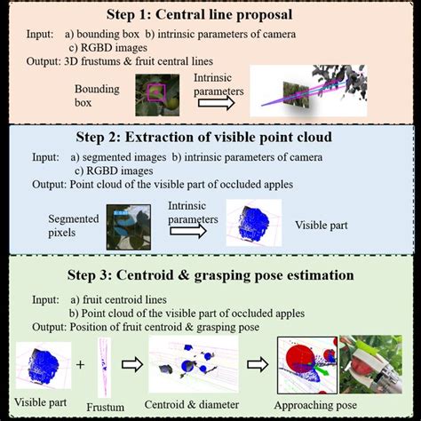 The Method For Occluded Fruits Localization And Pose Estimation With Download Scientific