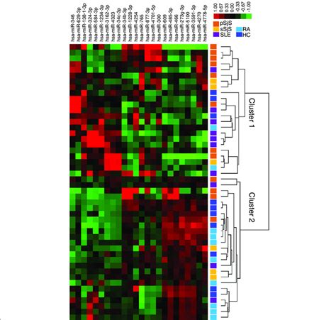 Mirna Expression Signature In Cd14 Monocytes Microarray Heat Map