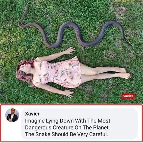 24 Snake Memes That Will Make You Sssmile On World Snake Day Animals