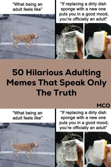 Funny Adult Memes To Have You Rolling On The Floor Laughing Artofit