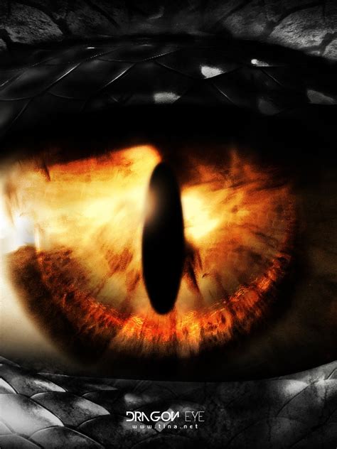 uo razor macro library uo evolution ultima online evolution free shard