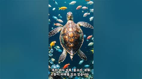 플라스틱 오염이 해양 생태계에 미치는 영향 동기부여 이슈 명언 성공 좋은글 Youtube