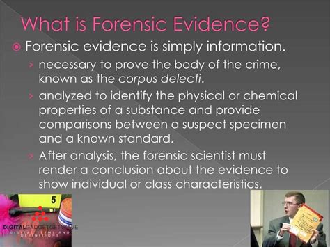 Understanding Forensic Evidence Definition And Real Life Examples [updated September 2025 ]