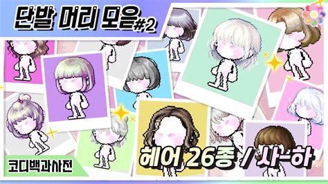 메이플 코디백과 단발 머리 모음 2 단발헤어 코디 And 믹염 프림로즈 해님 설아 코튼캔디 에반 새치미