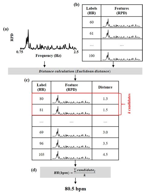 Overview Of Heart Rate Estimation Using The Model A The Rpd