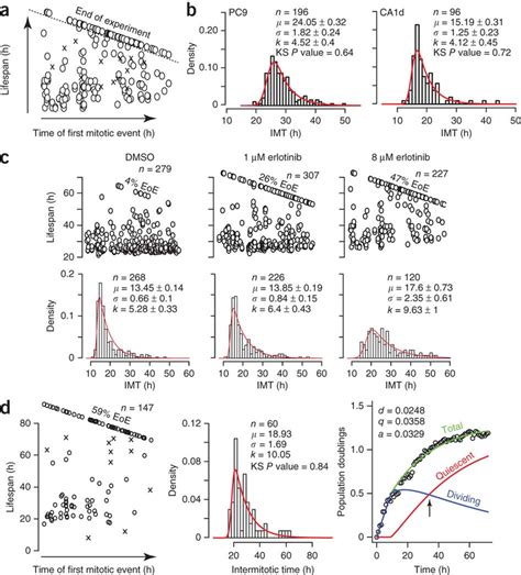 Interpretation Of Tracked Single Cell Data With Mathematical Modelsa