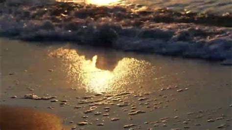 부드럽고 편안한 음악평화로운 피아노 음악asmr Youtube