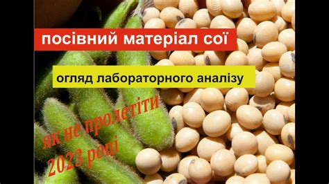 Технологія вирощування сої Посівний матеріал Хвороби сої Youtube