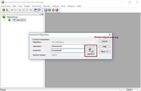 Informatica Repository Manager