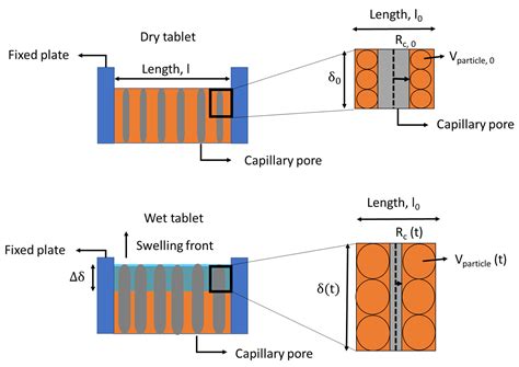 The Significance Of Tablet Internal Structure On Disintegration And Dissolution Of Immediate