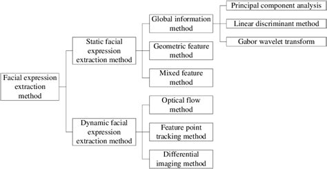 facial expression feature extraction methods download scientific diagram